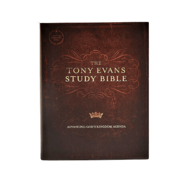 16 Best Study Bibles: These Will Make You a Bible Nerd! (And That’s Okay)